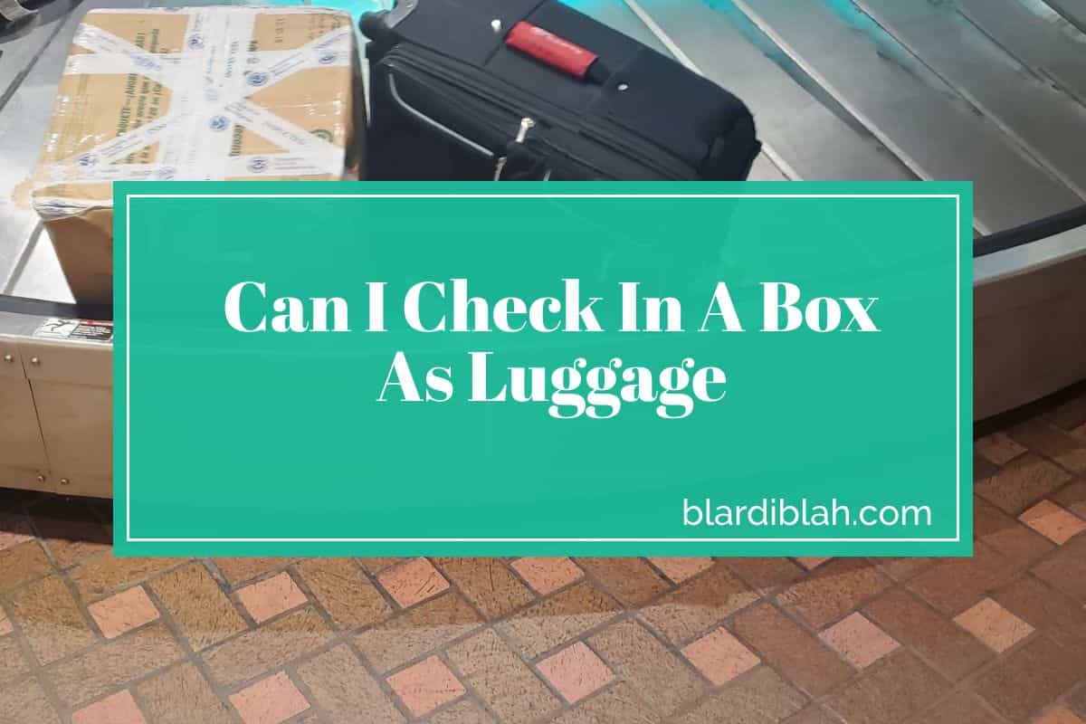 Can I Check In A Box As Luggage